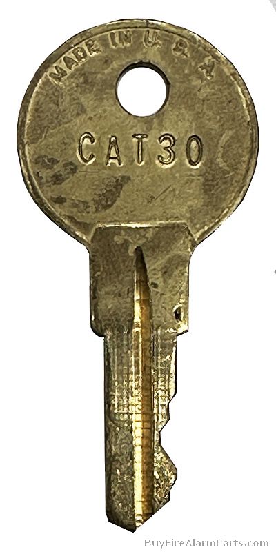 CAT 30 Key - Pack of 2