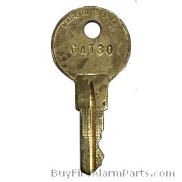 CAT 30 Key - Pack of 2